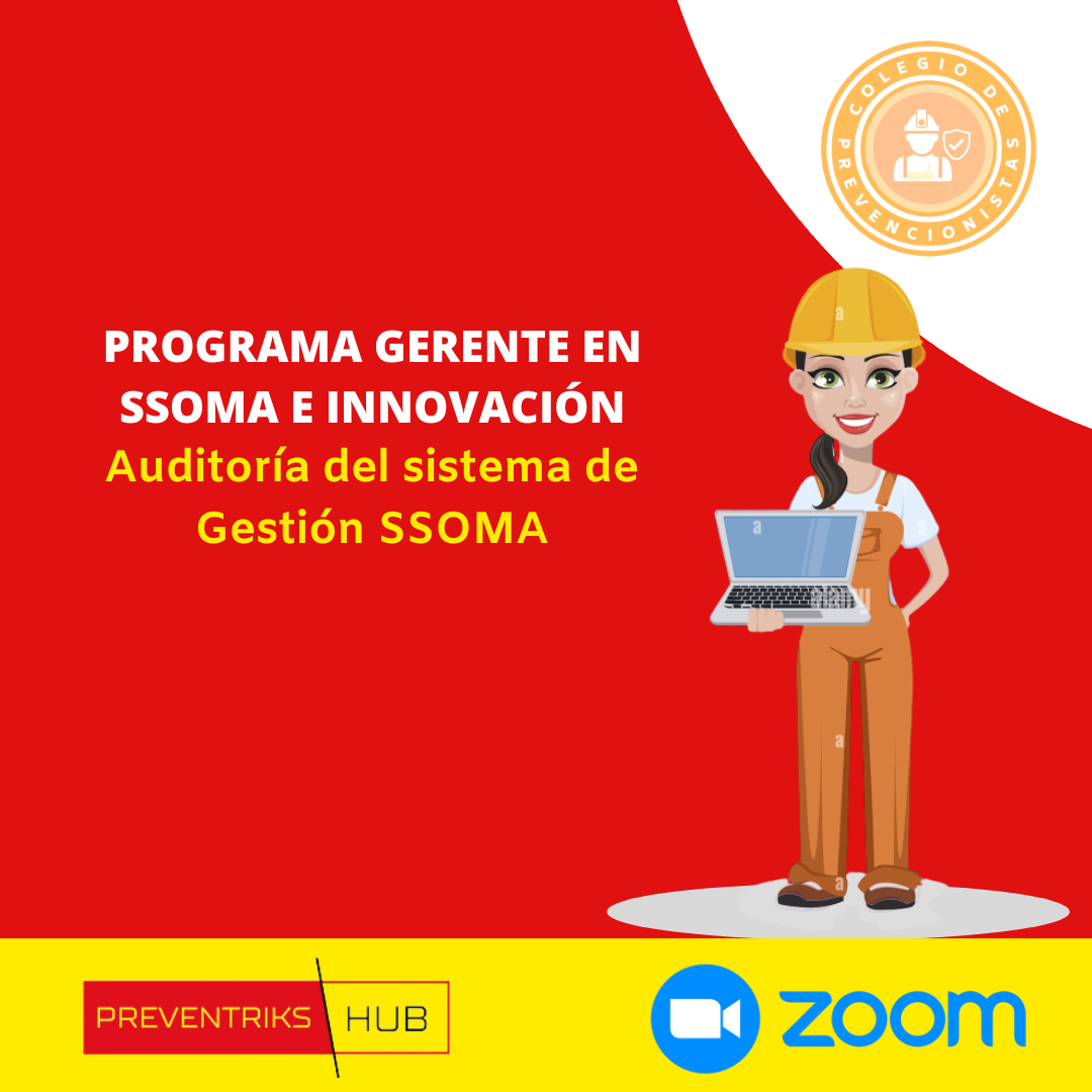 AUDITORÍA DEL SISTEMA DE GESTIÓN DE SSOMA ISO 45001 e ISO 14001 ...